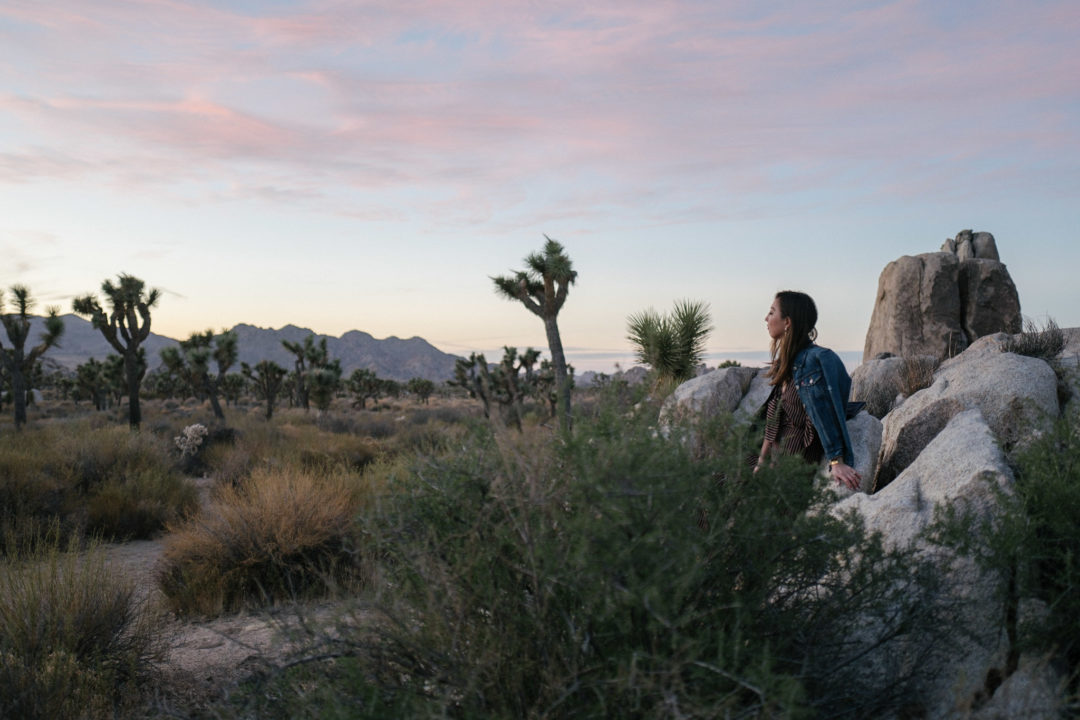 THE BEST 3 PHOTO SPOTS IN JOSHUA TREE, CALIFORNIA – TREND ENVY
